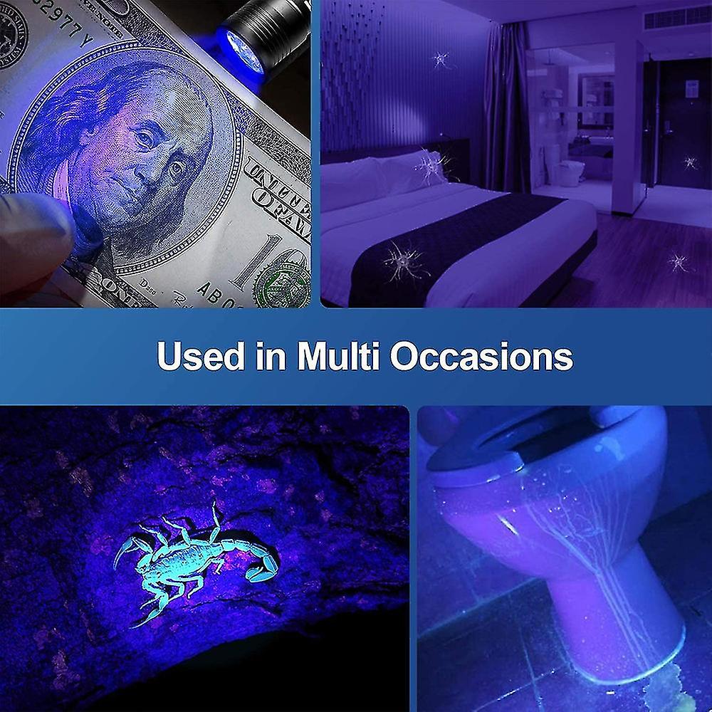 4pcs 12led Violet Light Flashlight, 395 Violet Light Uv Flashlight ...