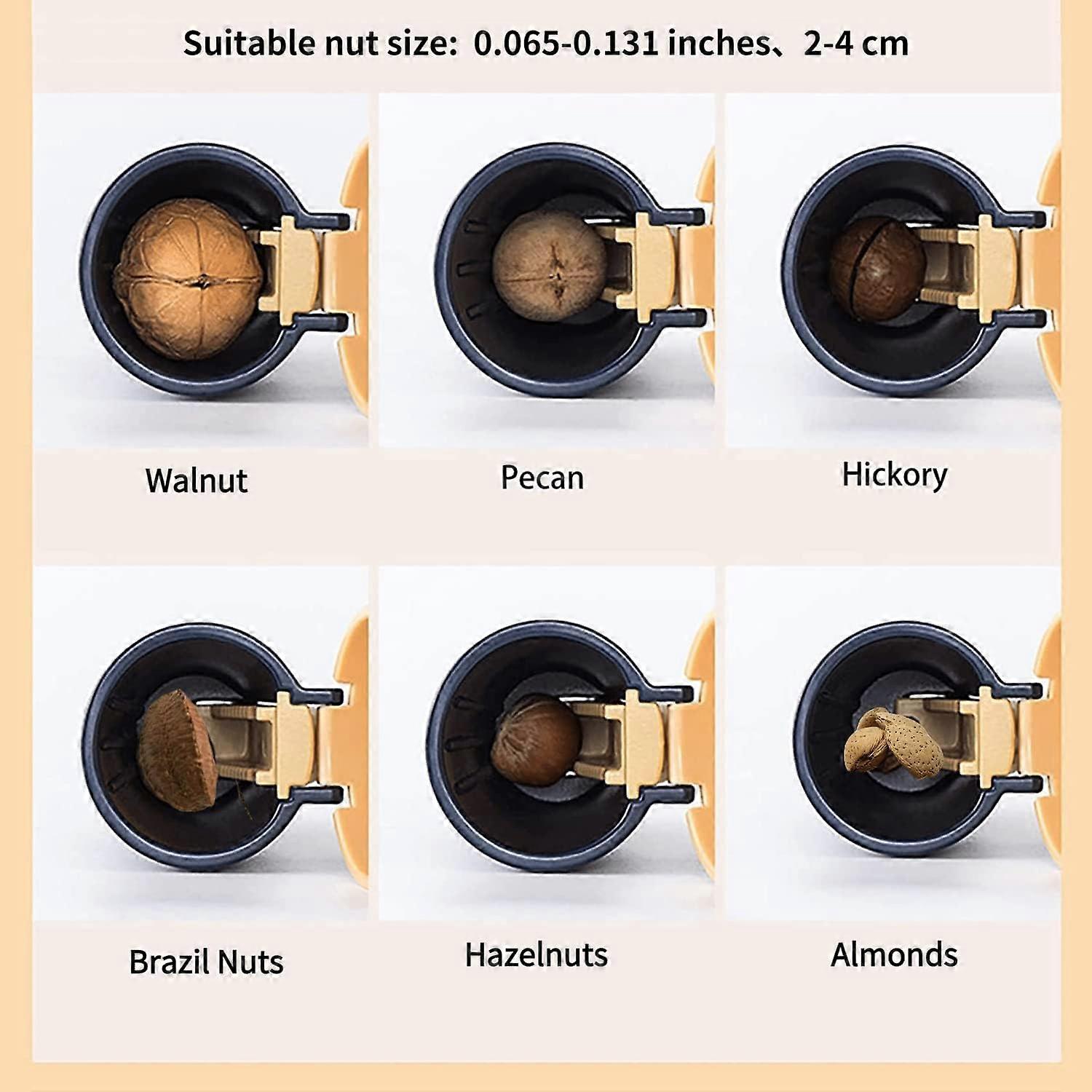 Nut Cracker with Splash-Proof and Labor-Saving Walnuts Pecans Hazelnuts ...