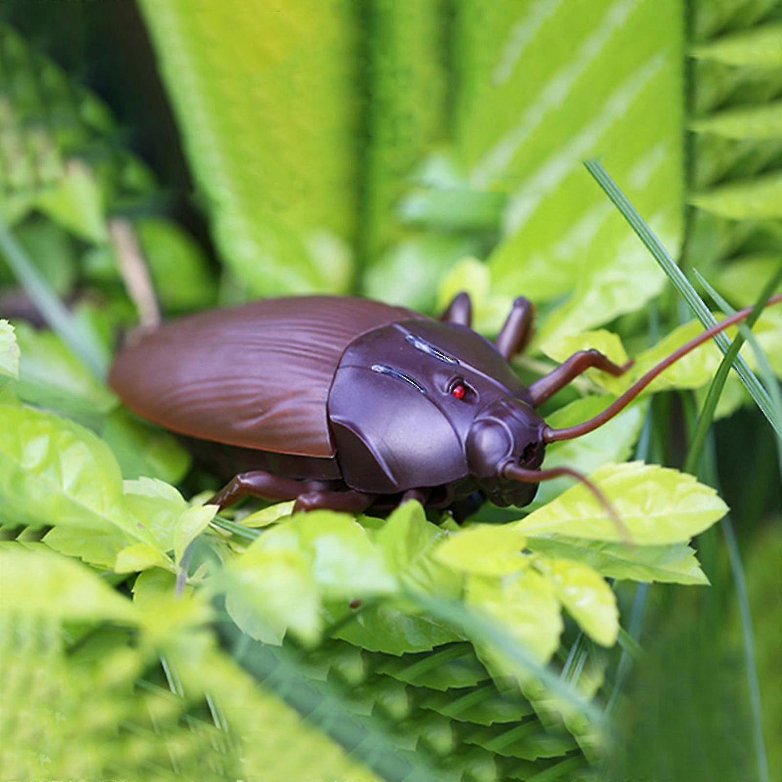 Artificial Electronic Insect Toy Trickster Multicolor Novelty Home ...