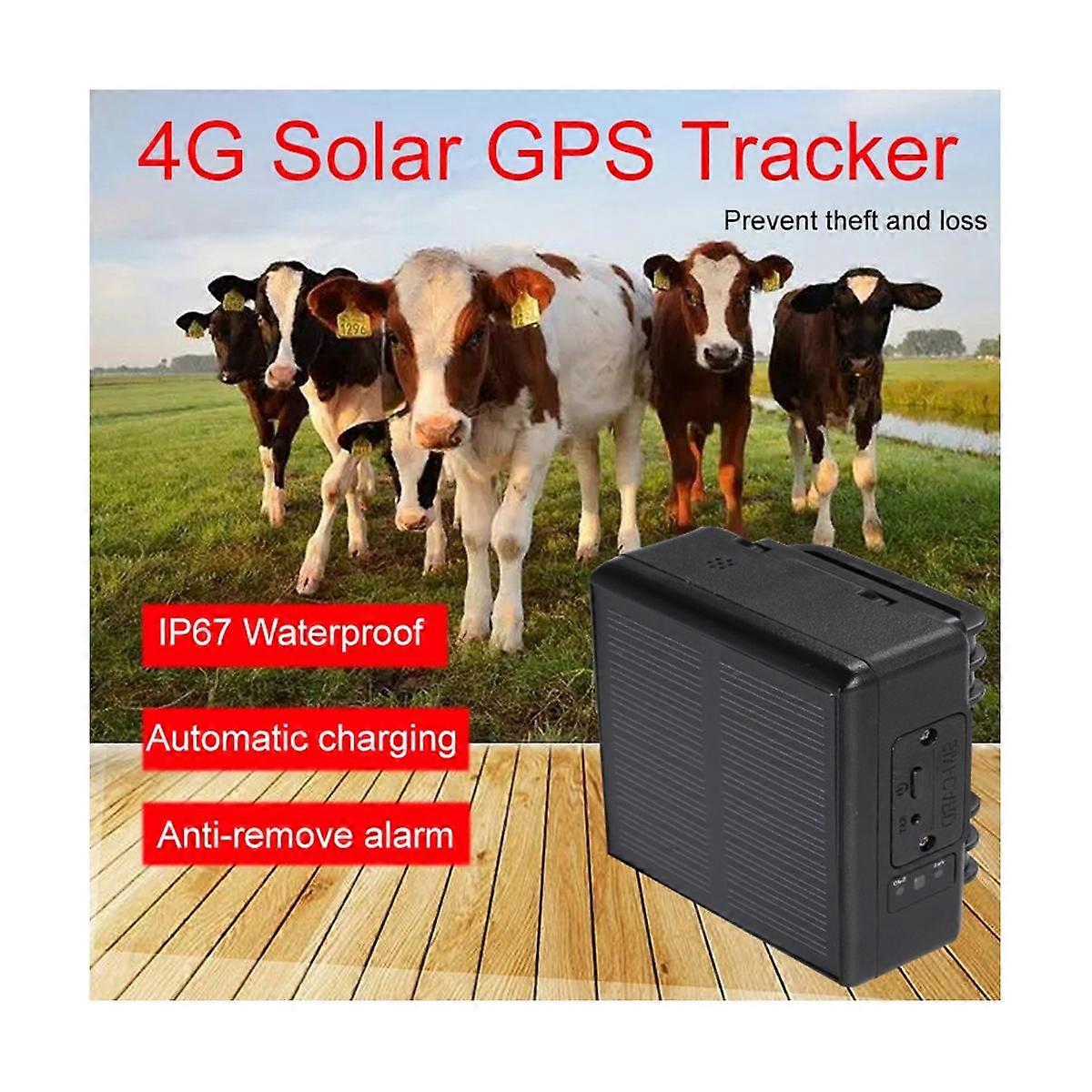 Solar GPS Tracker 4G GPS Tracker Waterproof IP66 4000MAh WIFI Cattle Cow Sheep Horse Camel ...