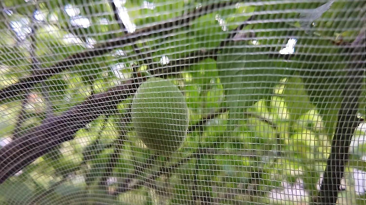 2 Pack Fruit Tree Netting 1m X 1.5m, Plant Insect Netting, Fine Mesh ...