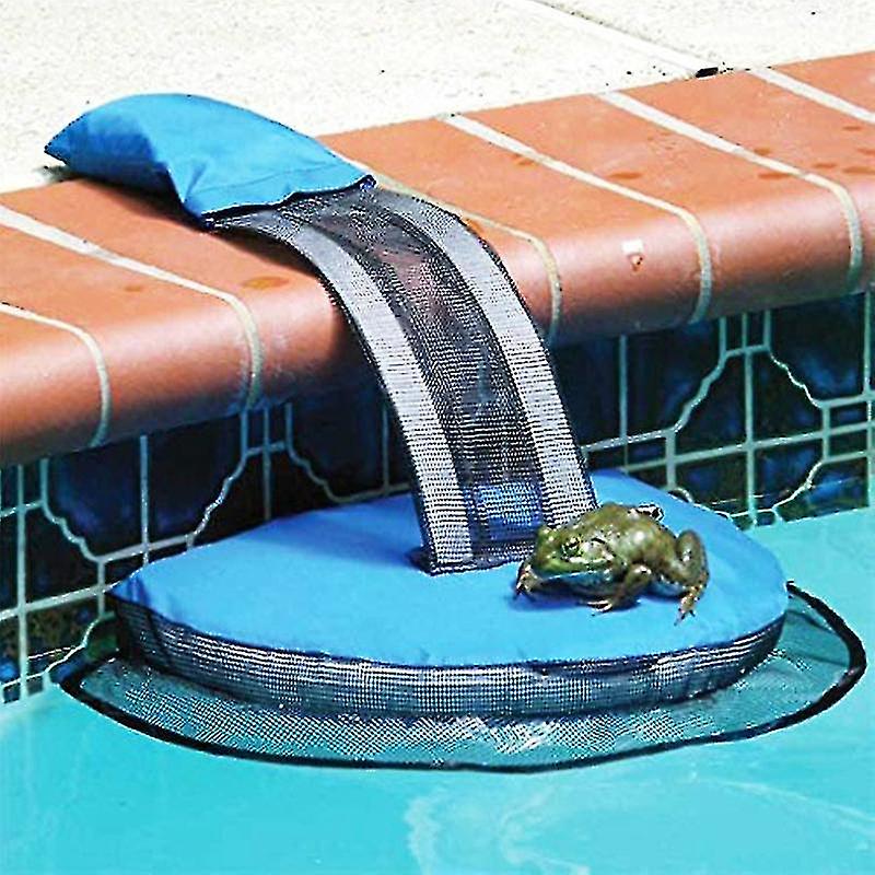 Animal Saving Escape Ramp For Pool Floating Ramp Rescues Frog Log Pad ...