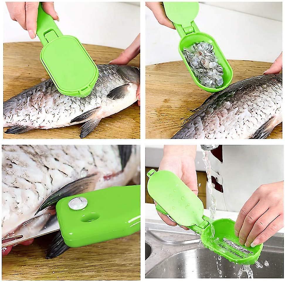 3pcs Clean Fish Scales Fish Scale Scraper Stainless Steel Fish Scale ...