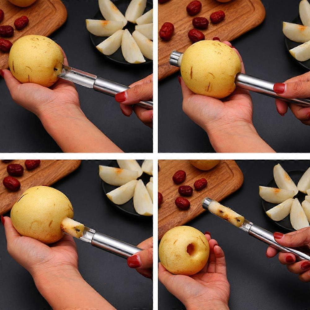 4 Pcs Stainless Steel Apple Core Remover, 4 Different Types Core ...