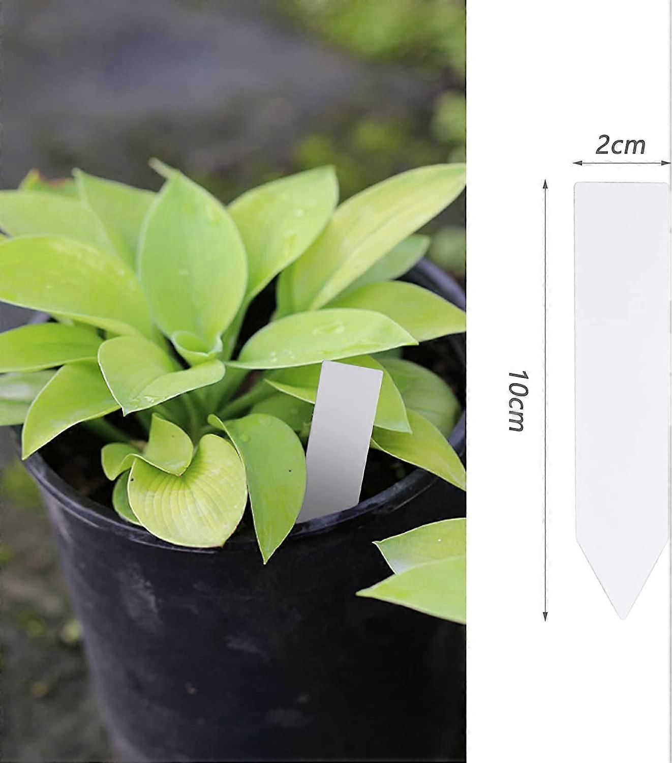 100 Pcs Plastic Plant Labels 10x2cm Waterproof Garden Labels Plastic ...