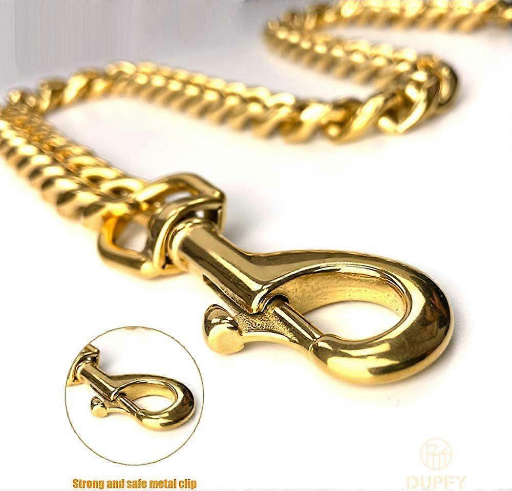 Gold Chain Leash for Large Dogs Chew Resistant Metal 19mm Fully Welded ...