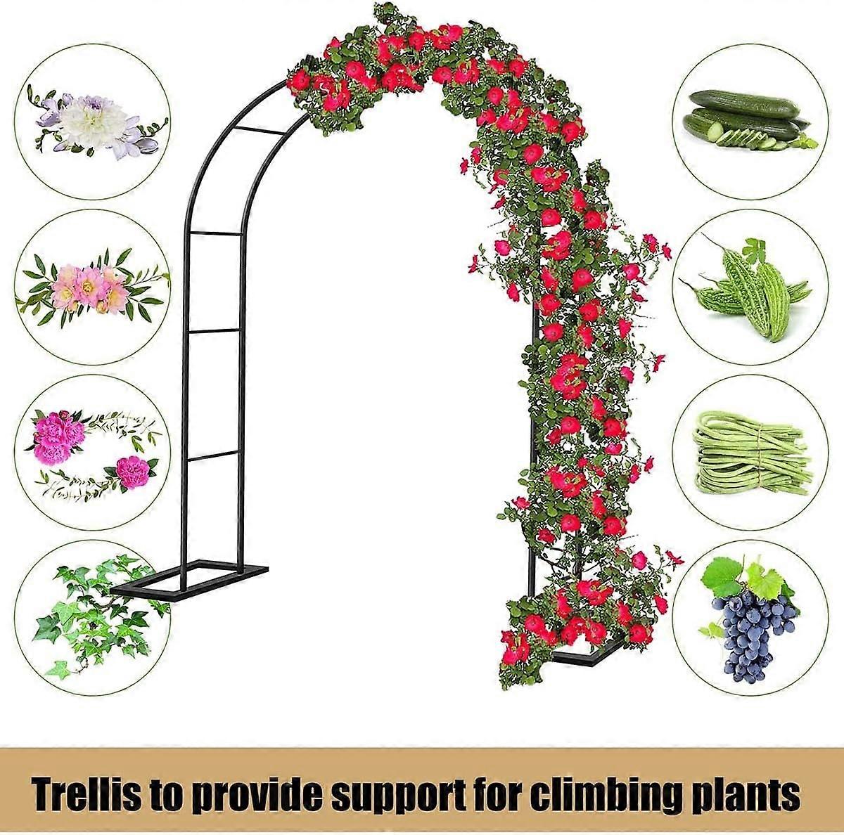 Metal Garden Arbor Arch with Base for Climbing Plants and Vines ...
