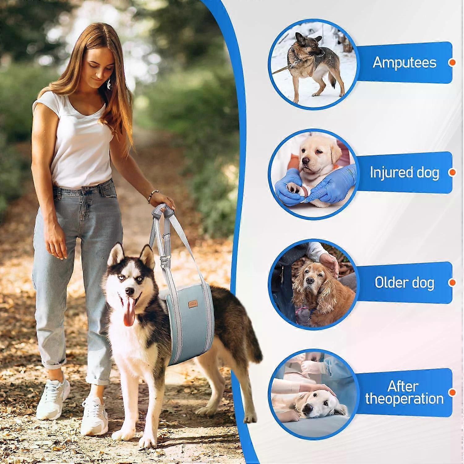 Dog Lift Harness, Adjustable Dog Sling for Large Dogs, Back Legs & Hip ...