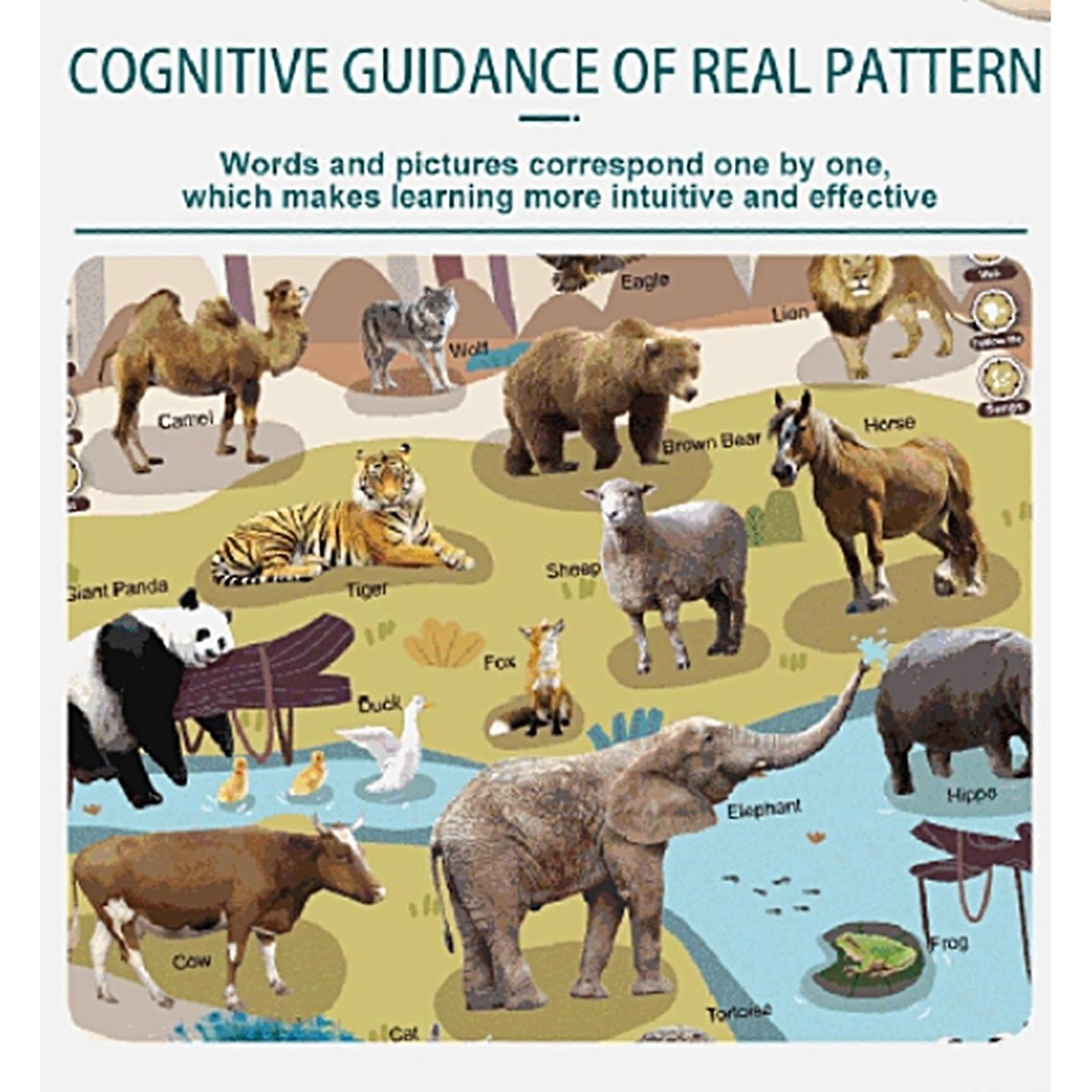 Kids Interactive Educational Wall Chart Talking Wall Chart Toy for ...