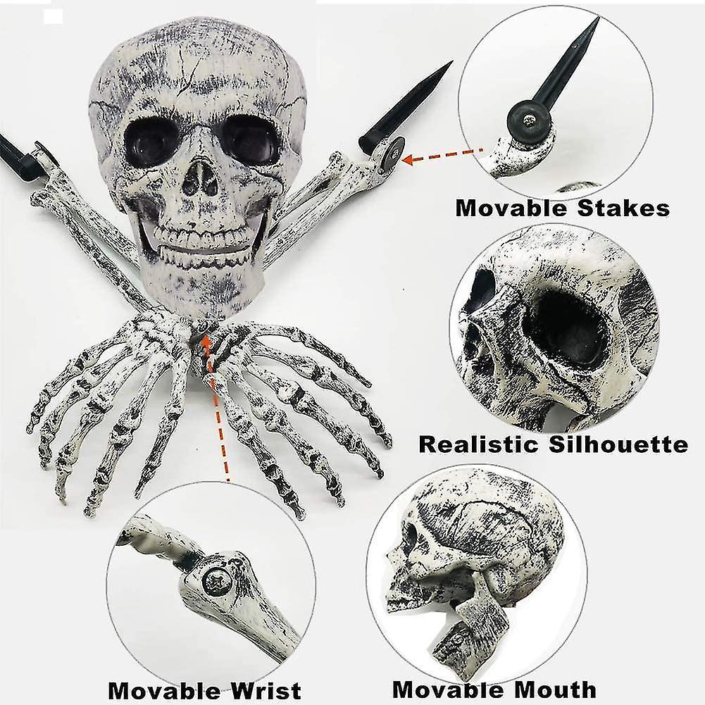 Realistic Skeleton Bones Skull Head And Hands Halloween Skeleton ...