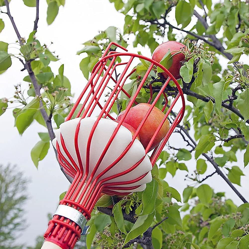 Metal Fruit Picker with Claw, Metal Fruit Picking Tool, Gardening Tools ...