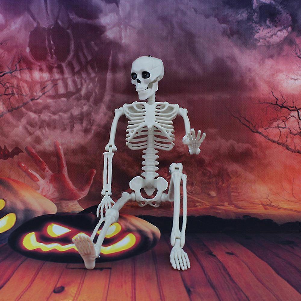 Flexible 40cm Tall Human Skeleton Model - Life Size Anatomical Medical ...