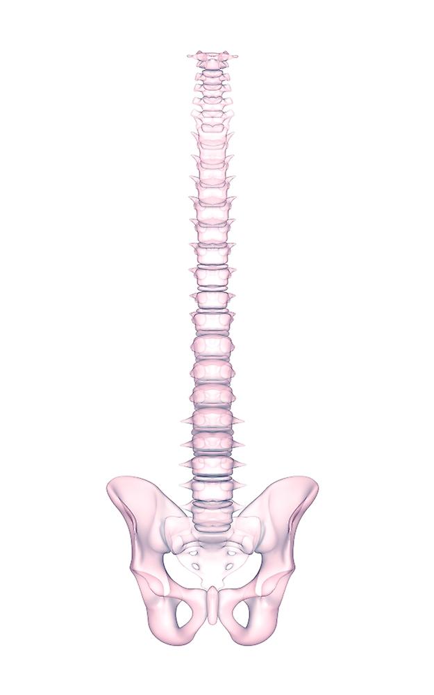 Conceptual image of human backbone. Poster | Fruugo DE