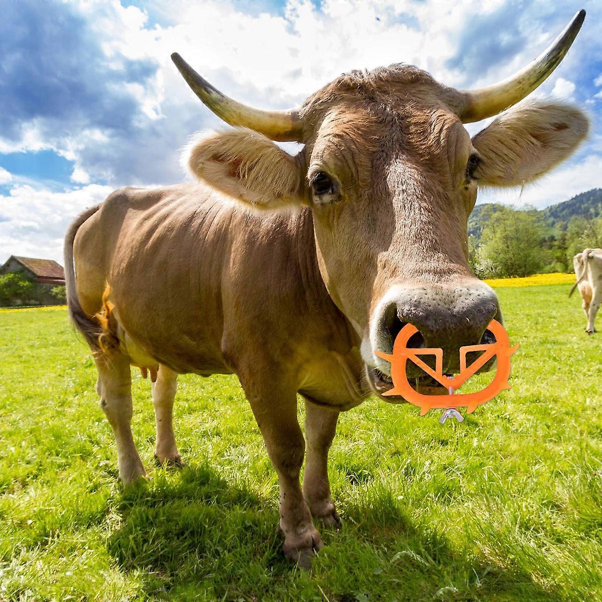 5 Pcs Piercing Tools Livestock Cow Nose Thorn Calf Weaner Ring Cow Milk ...