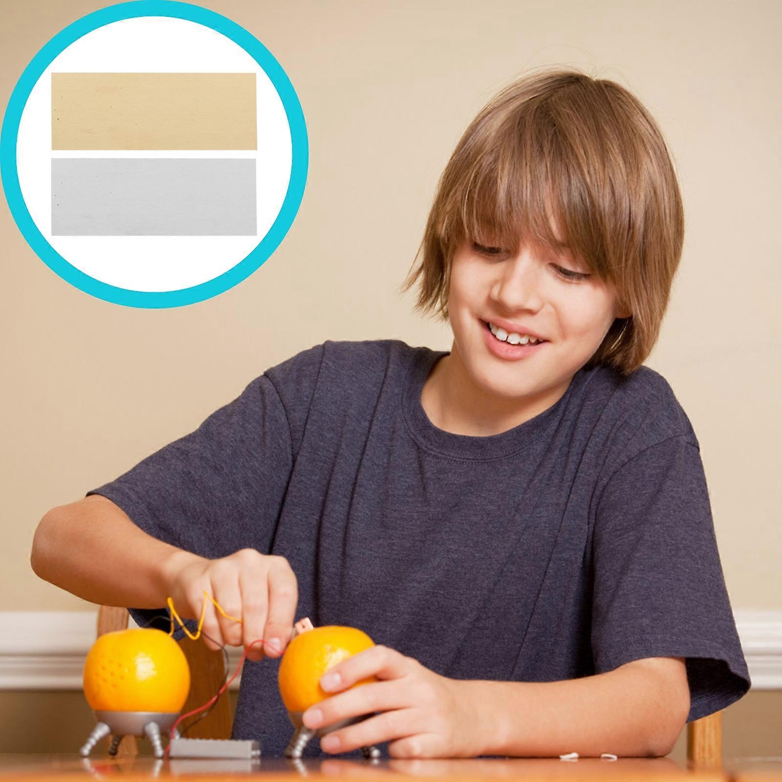 10 Pairs Zinc Copper Electrode Strip Fruit Power Scientific Experiment Supplies | Fruugo UK