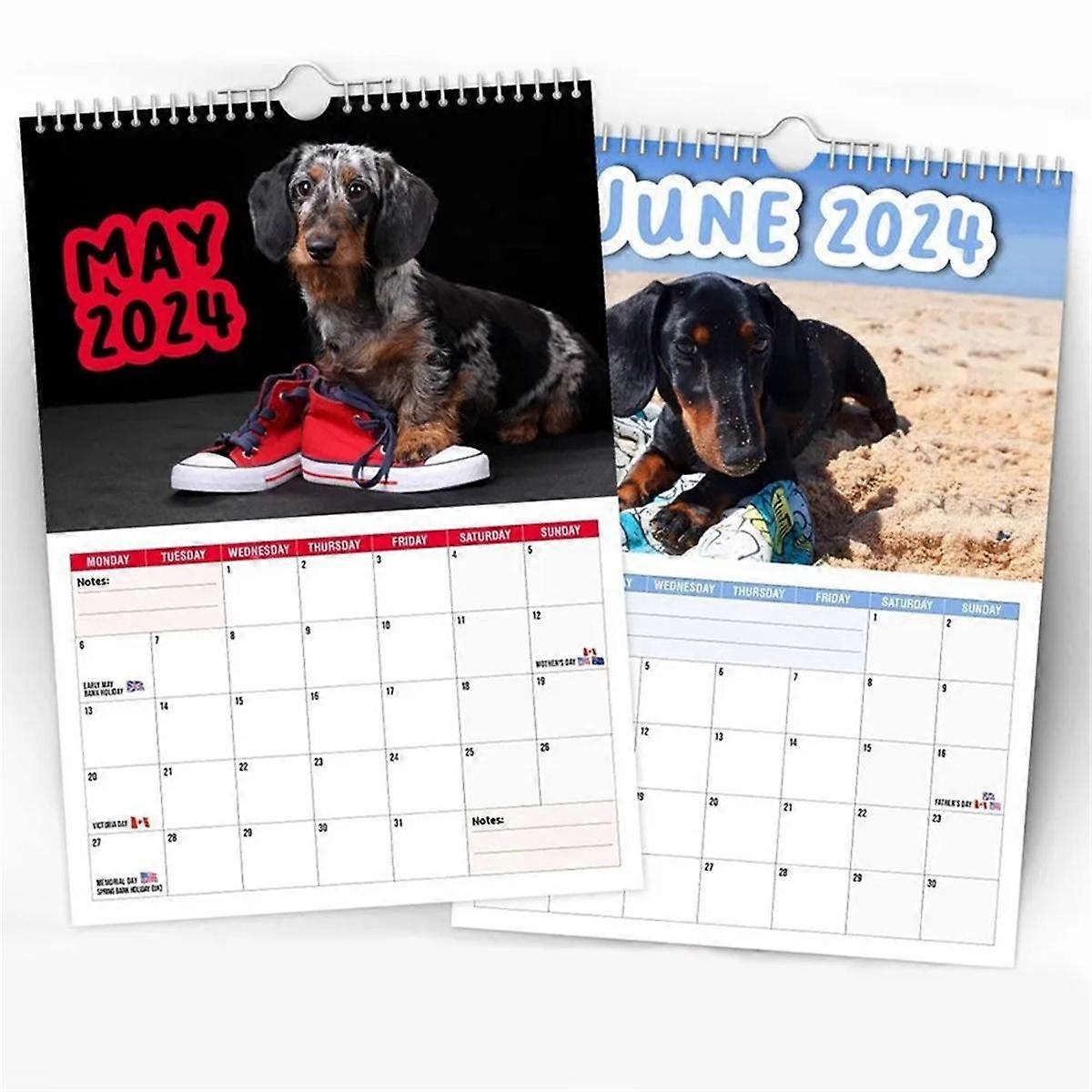 Paper 2024 Cheeky Dachshunds Calendar New Year's Gifts Gift Wall ...