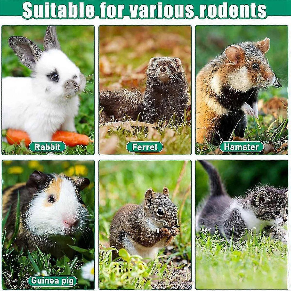 Heated Rabbit Water Bottle, 32 Oz No Drip Water Bottle for Rabbits ...