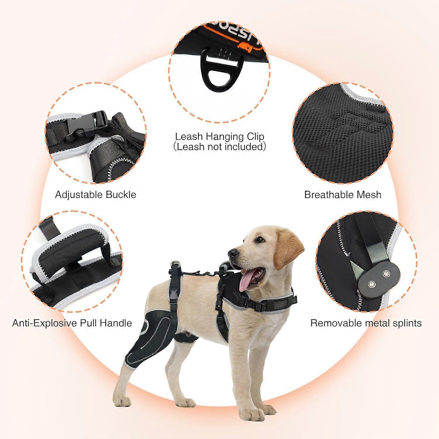 Dogs Knee Brace for Back Leg, Hinged Dog Knee Brace for Torn ACL Hind ...
