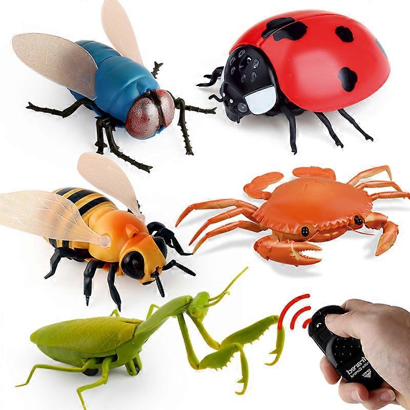 Infrared Remote Control Spider Insects Flies Bees Ladybugs Crabs ...