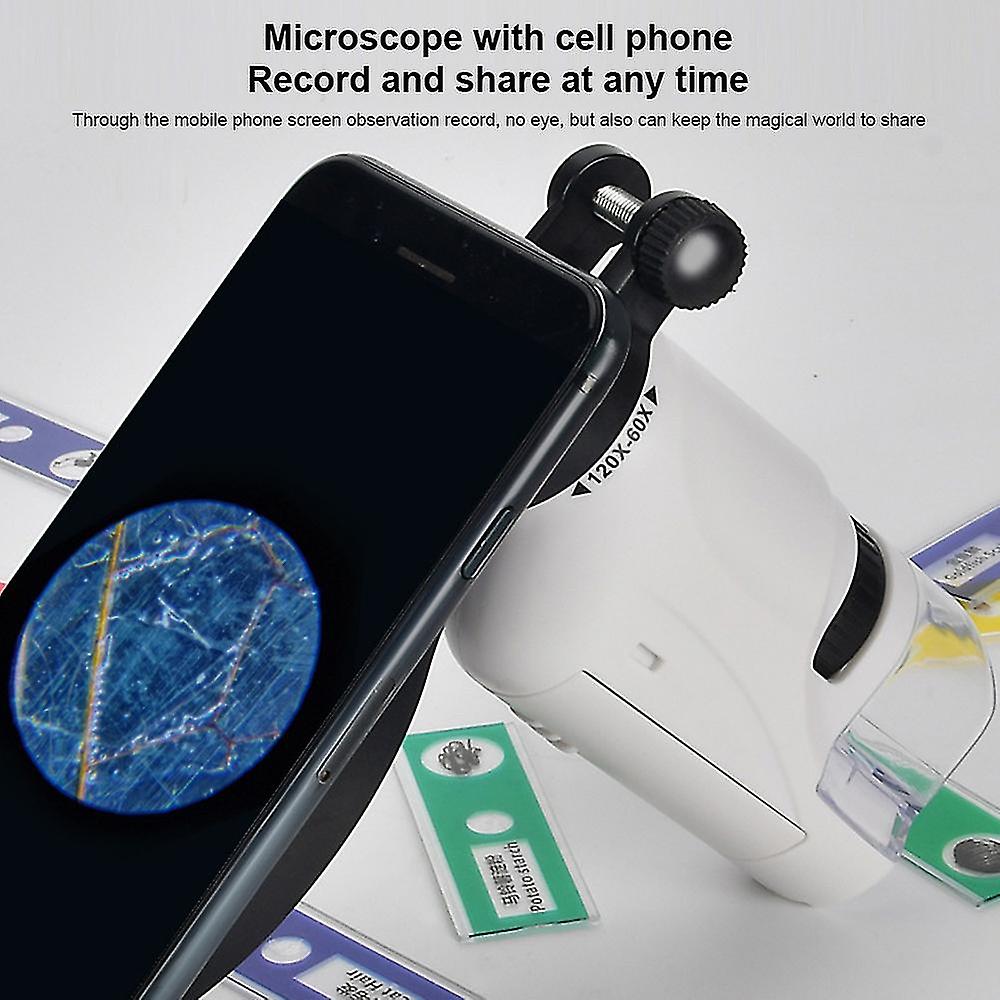 Mini kit de microscope de poche 60-120x laboratoire microscope portable ...