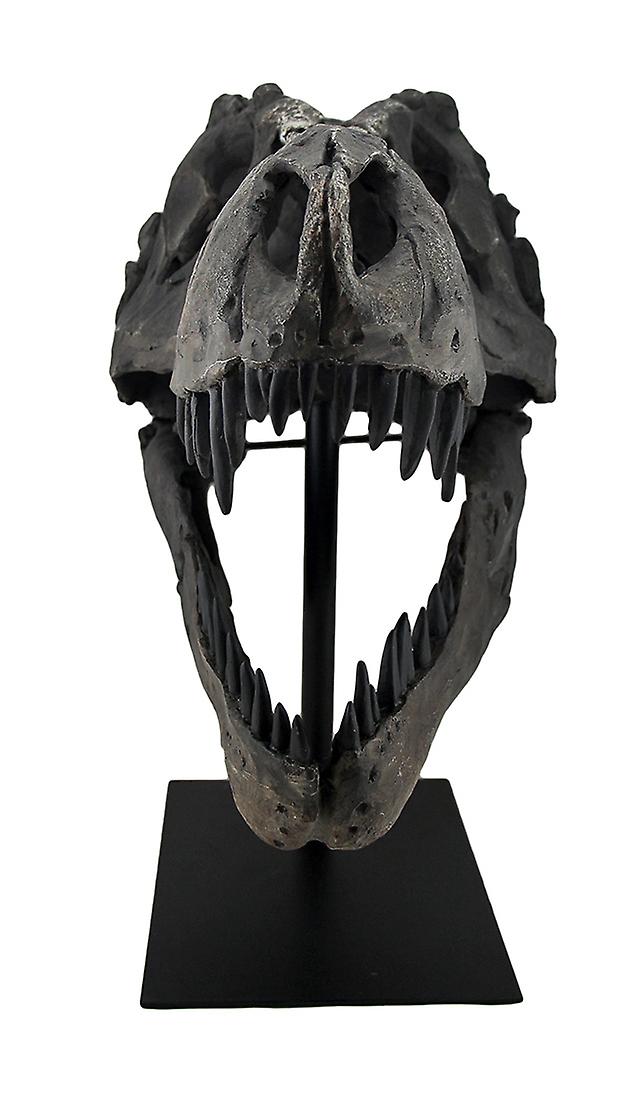 Gray færdig Tyrannosaurus Rex fossile kranium Statue på Museum Mount T ...