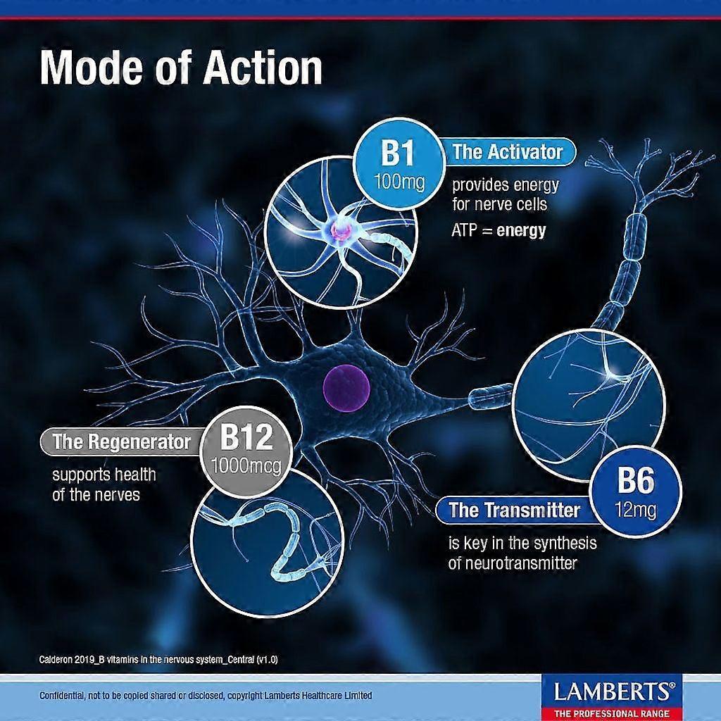 Lamberts Neuro-Guard Tablets 60 (8594-60) | Fruugo US