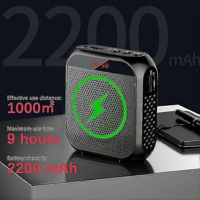 Voice Amplifier, Portable Microphone Speaker, Teacher Classroom ...