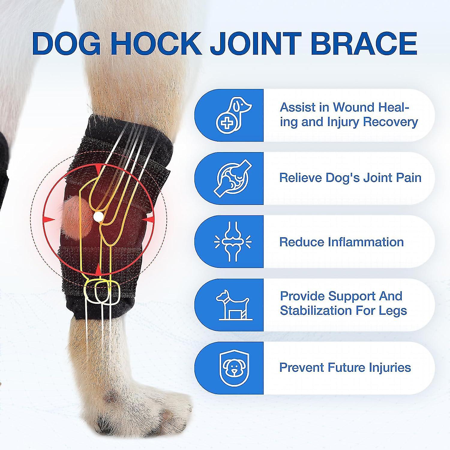 Dog Hind Leg Brace: Hock & Ankle Support for Torn ACL & CCL, Canine ...