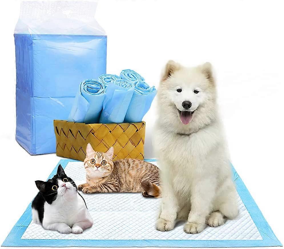 Trainer Mats for Learning, Dog Training Pads for Puppy Training ...
