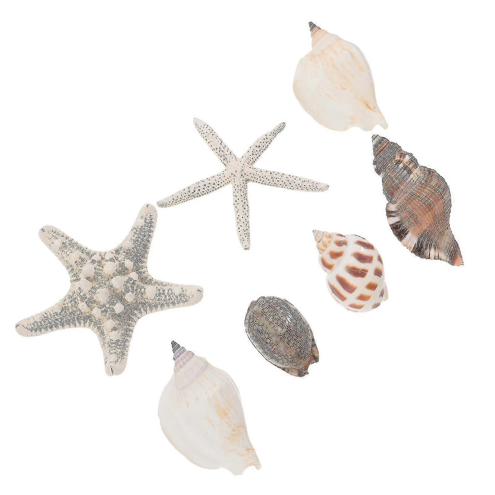 7pcs Fridge Stickers Magnetic Decals Seashell Conch Shape Patches ...