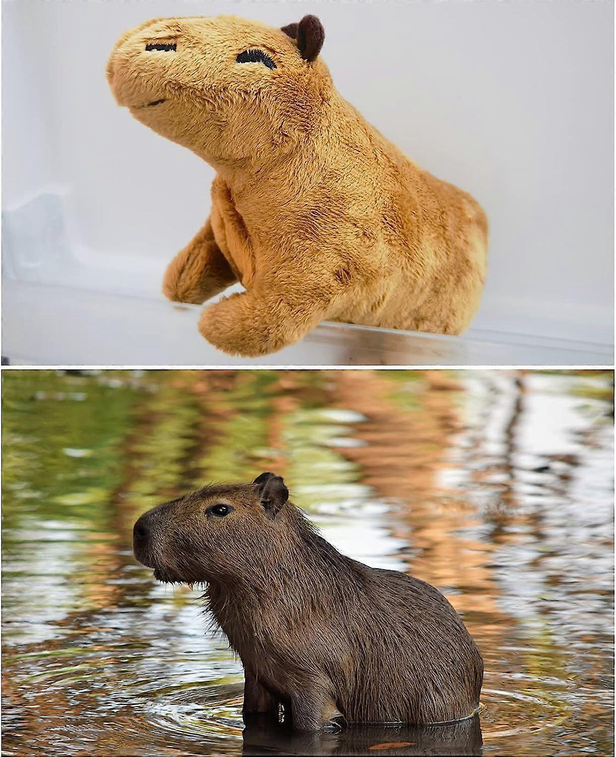 18cm Capybara Rodent Plush Toy, Realistic Capybara Plush Cute Capybara ...