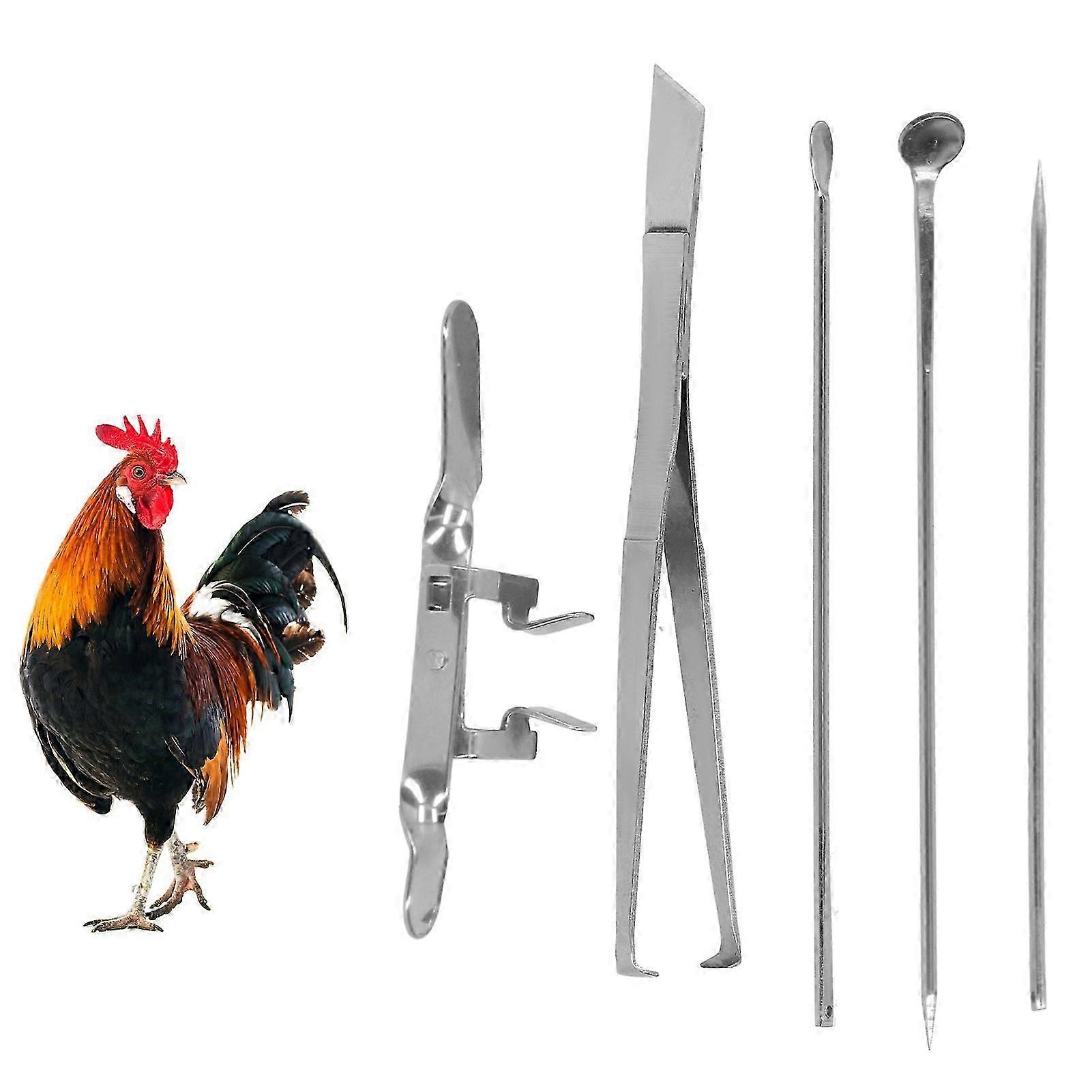 Chicken Capon Kit,Capon Knife Tool,Cock Rooster Caponizing Instruments ...