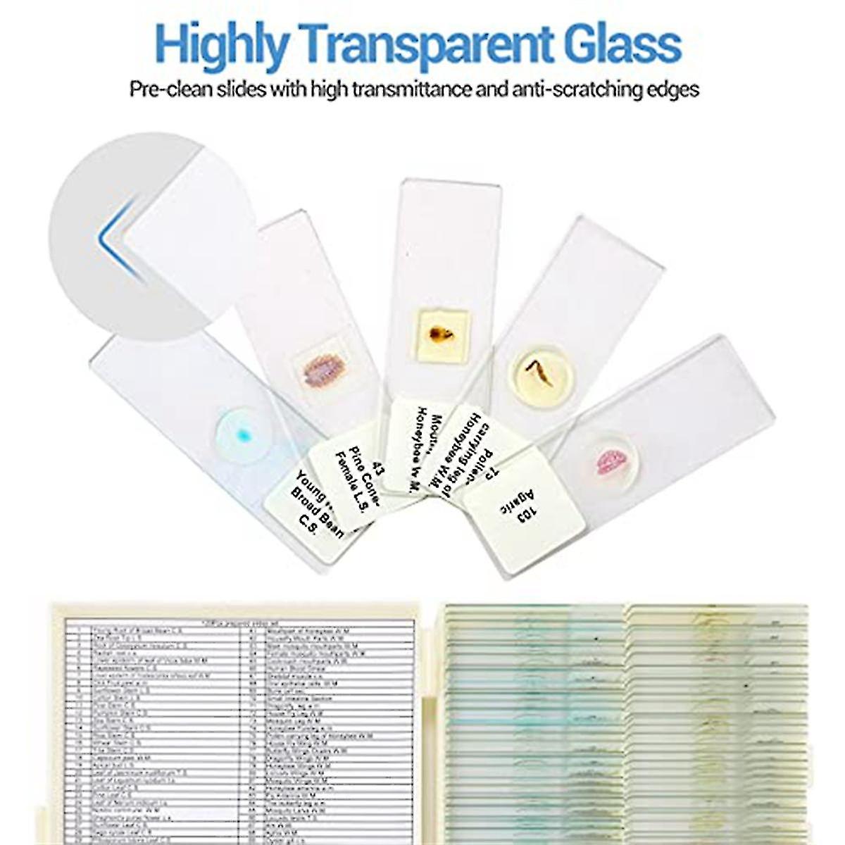 Microscope Slides With Specimens From Children, Microscope Slides For ...