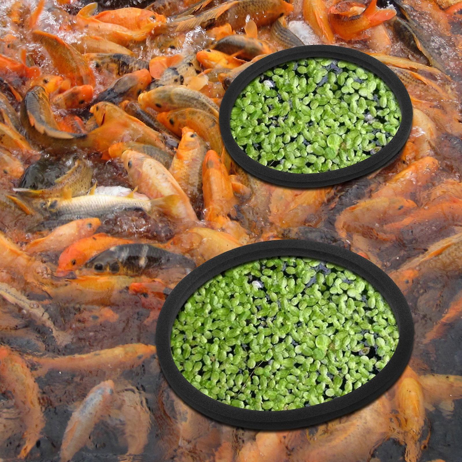 5pcs Aquarium Floating Plant Rings Fish Feeding Rings Circle Rings ...