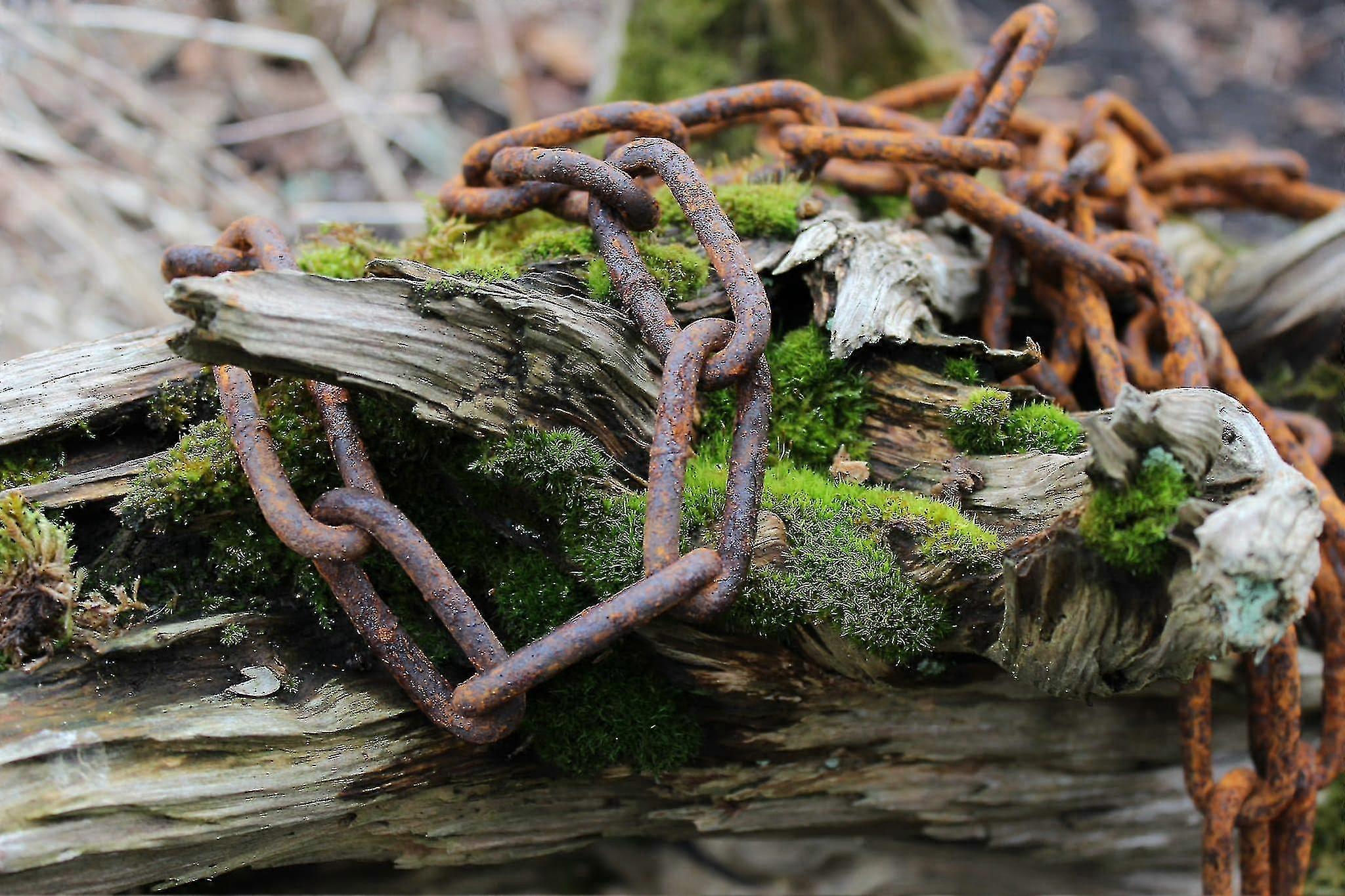 vitaliano rusty steel chain link chain by the meter 1 meter to 30 ...