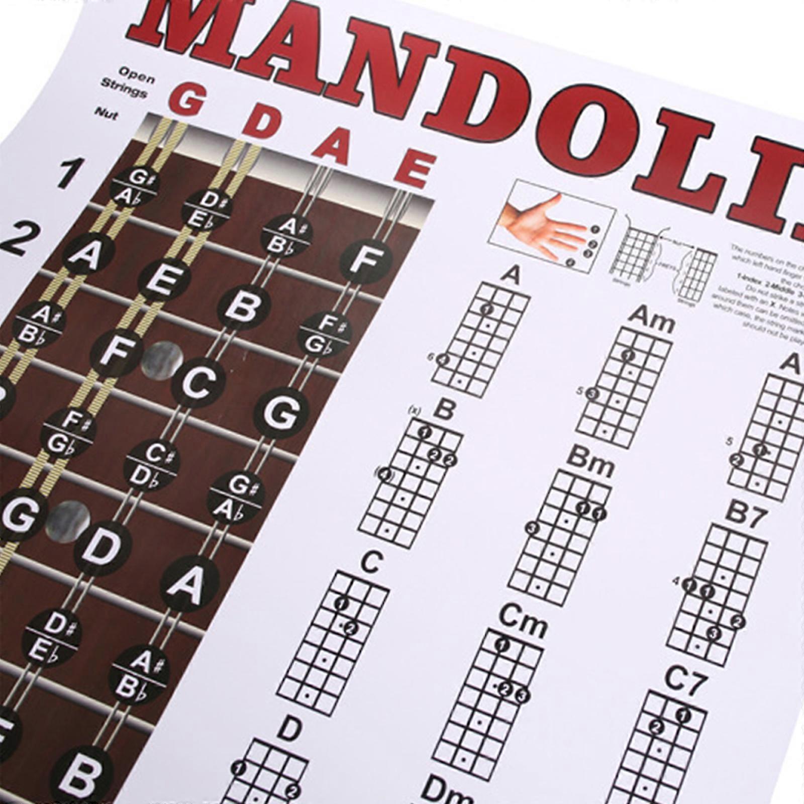 Mandolin Chord Chart Poster Mandolin Fretboard Note Chart Easy Chord ...