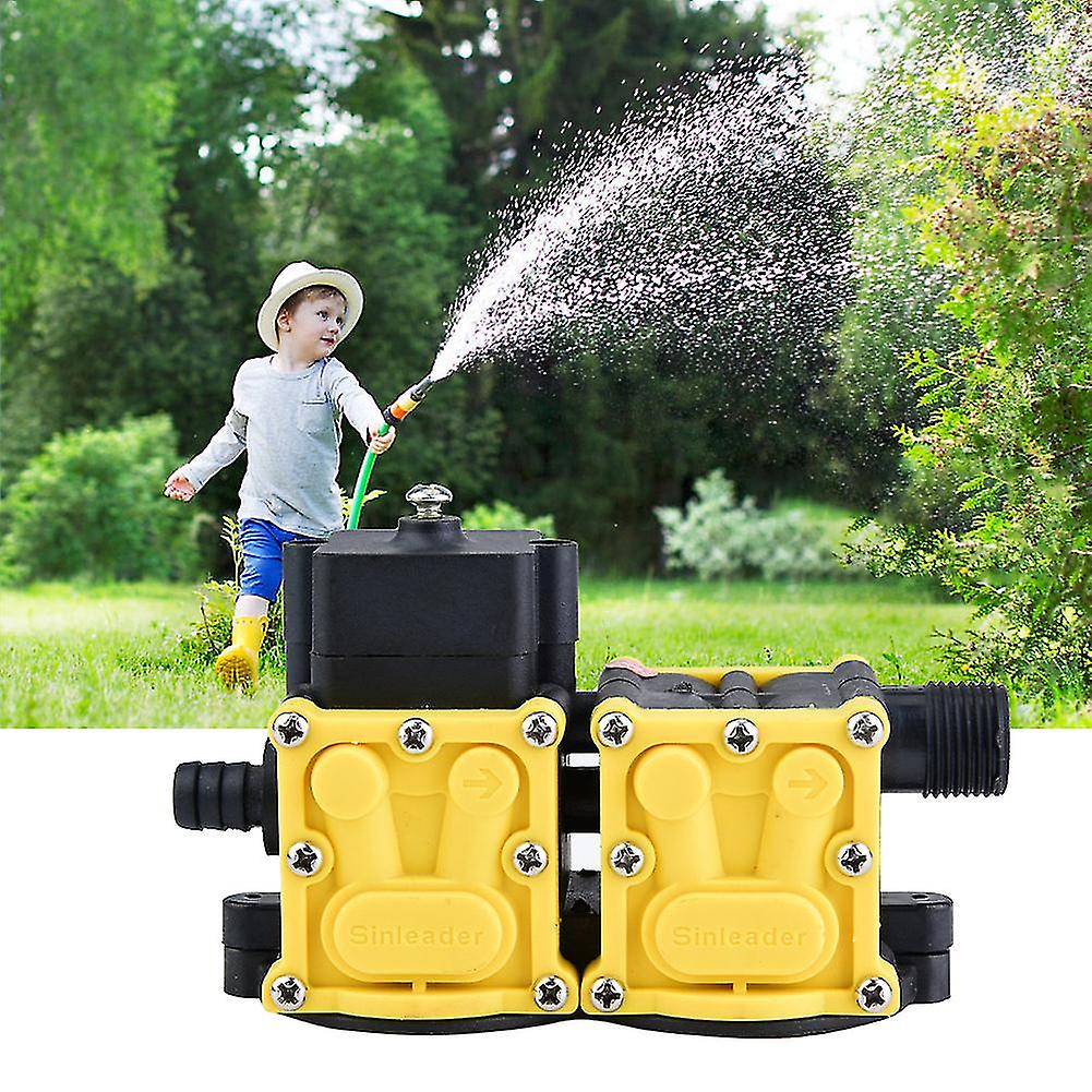 12V Double Core Electric Sprayer Motor for Diaphragm Pump Head ...