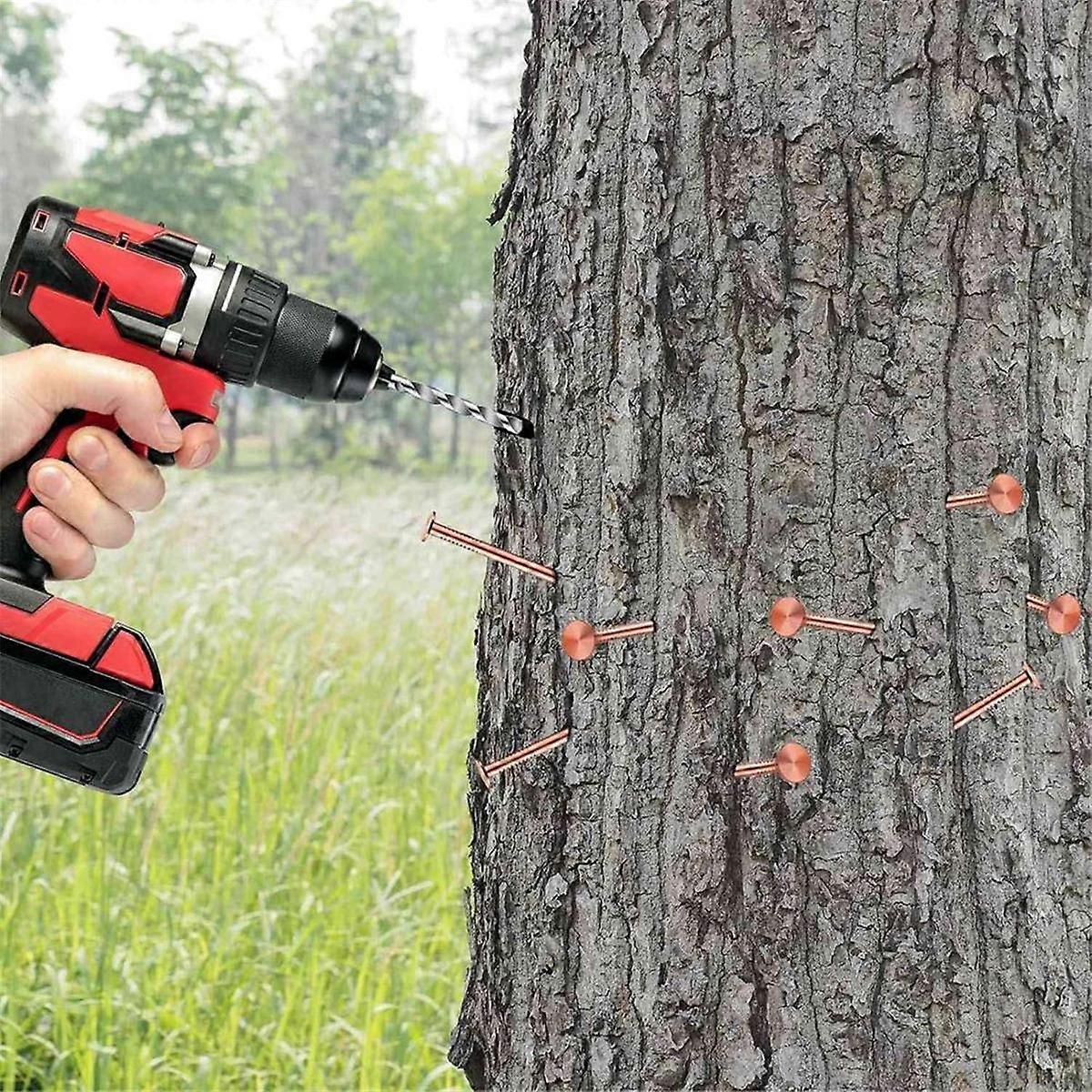 3.5 Inch Pure Copper Nails Bulk Stump Removal Spikes Hardware Nails for ...