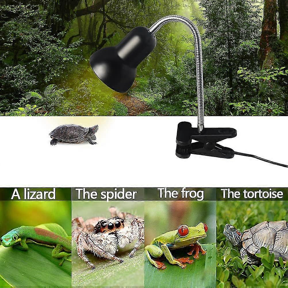 Reptile Lamp Tortoise Lamp Tortoise Heat Lamp With Timer 360rotating ...