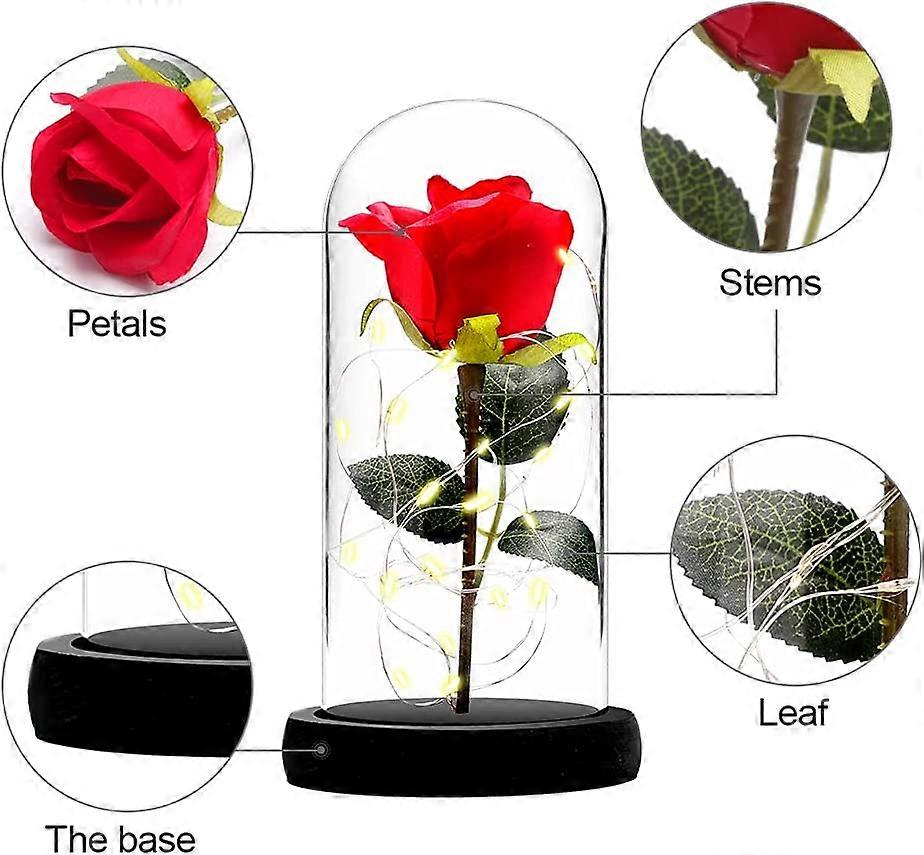 Eternal Roses, Eternal Rose in Cloche, Beauty and the Beast Rose, Fake ...