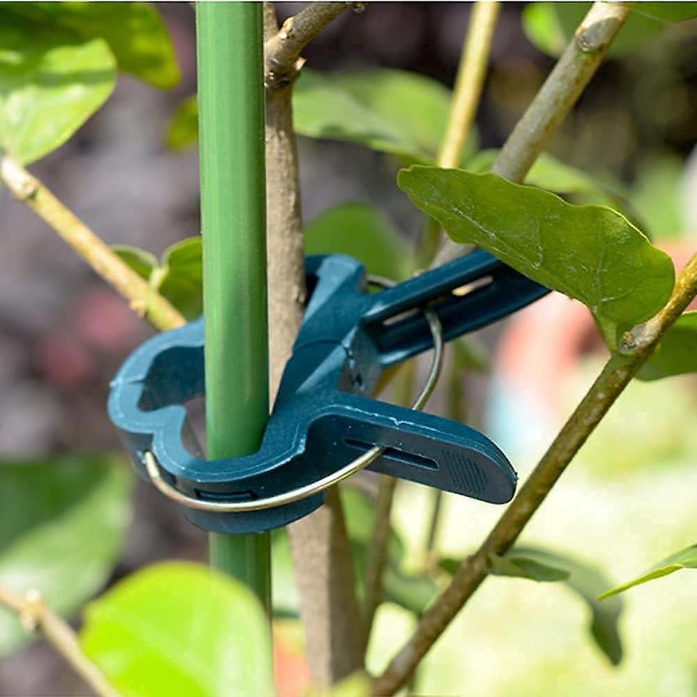 Plant Clips, Plant Clips For Tomatoes, Cucumbers And Other Climbing ...