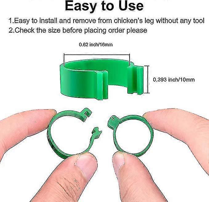 Hen Ring Leg Rings Identification 20mm Plastic Colored Chicken Bands ...