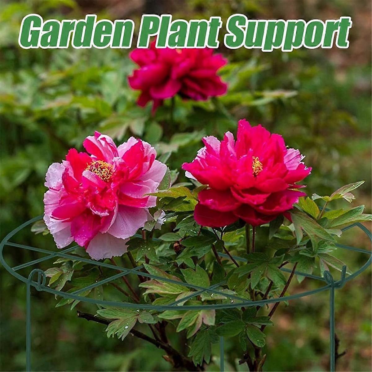 Peony Stand, Peony Support Cage, Plant Stand Growing Plant Stand ...