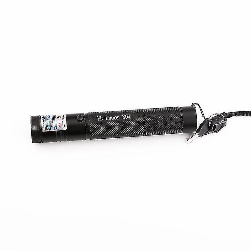 Laser 301 Purple Laser Pointer Pen Adjustable Focus Super Laser Visible ...