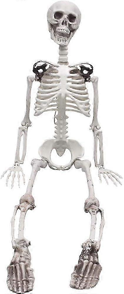 Halloween skeleton full body life like skeleton model with movable ...