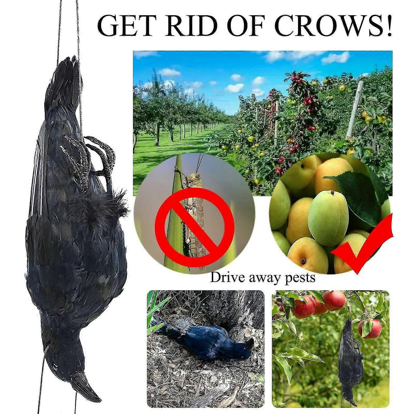 Realistic Hanging Dead Crow Decoy Lifesize Extra Black Feathered Crow ...