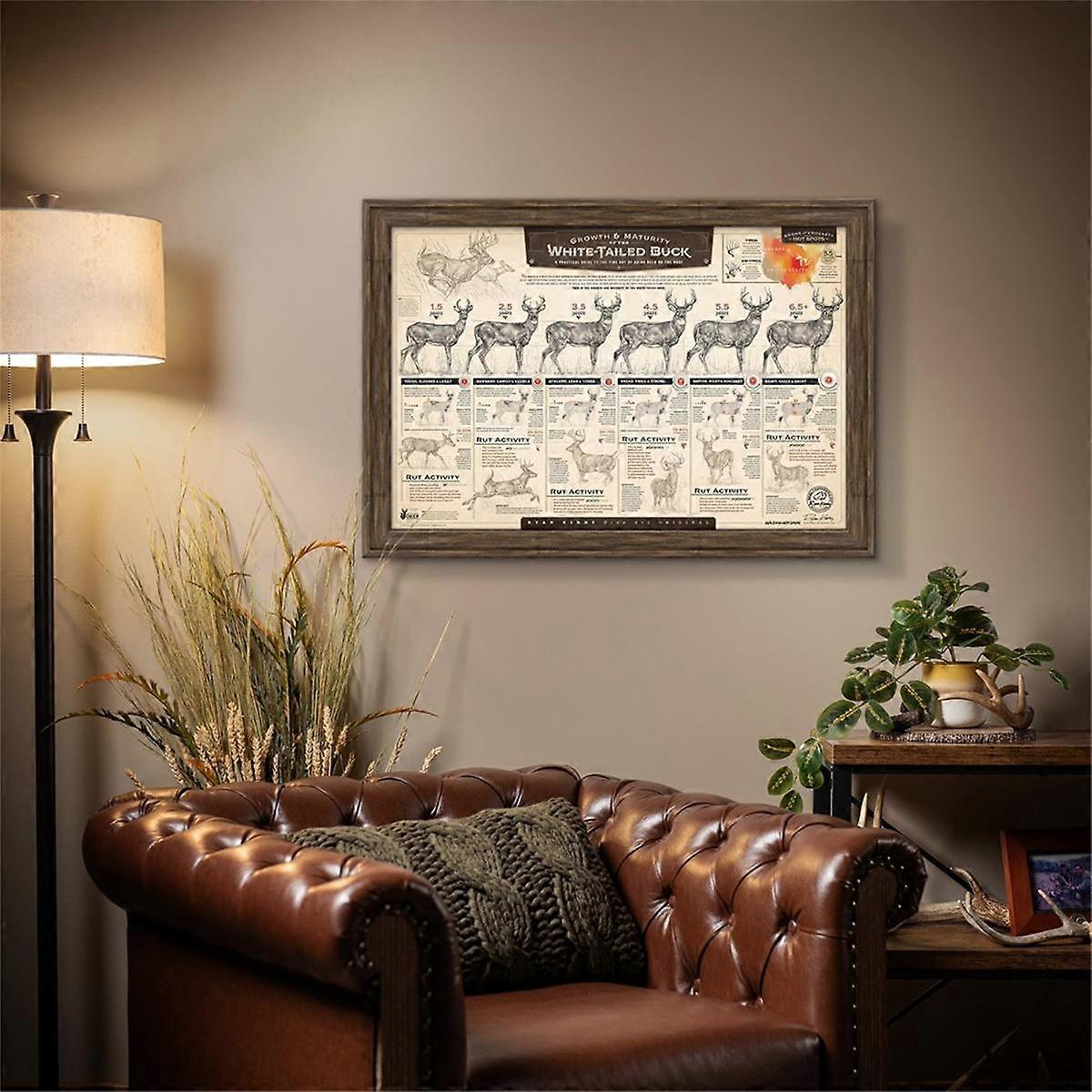 "The Growth and Maturity of the White-Tailed Buck" Paper Print C ...