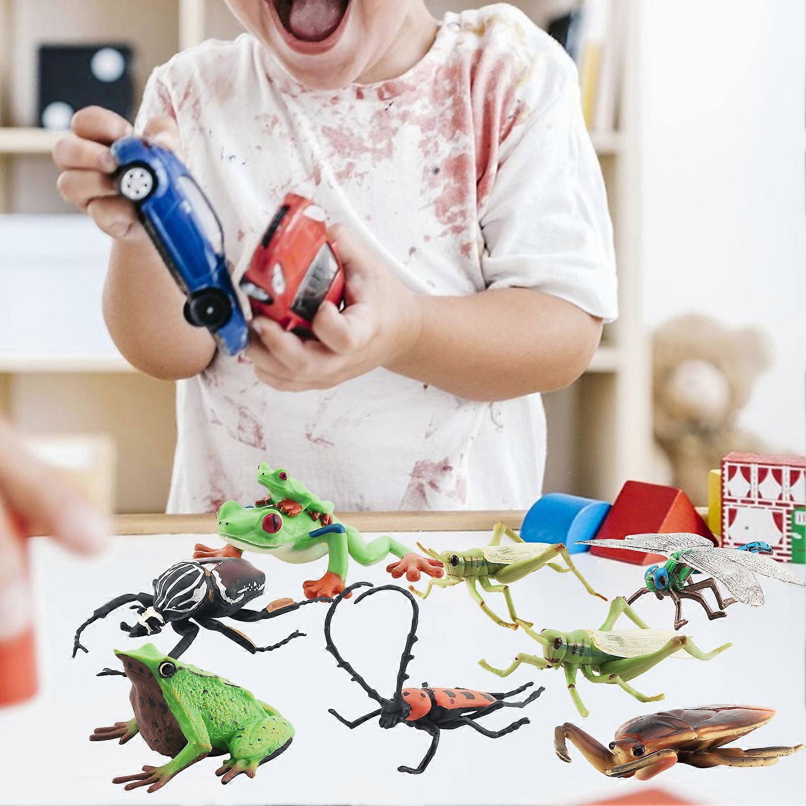 Insect Model Vivid Look Grasshopper Dragonfly Frog Miniature Figurine ...