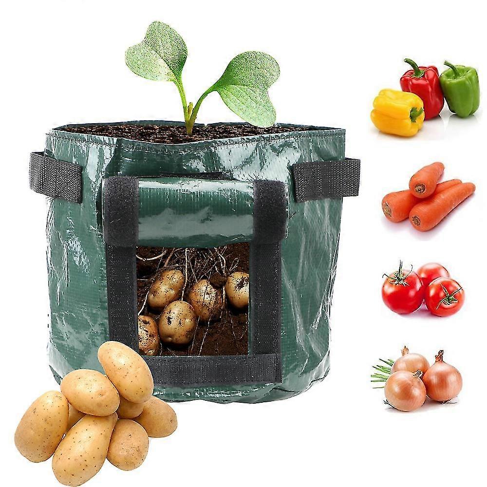 DIY Potato Plant Growing Kits Planter Vegetable Plant Bag Garden ...