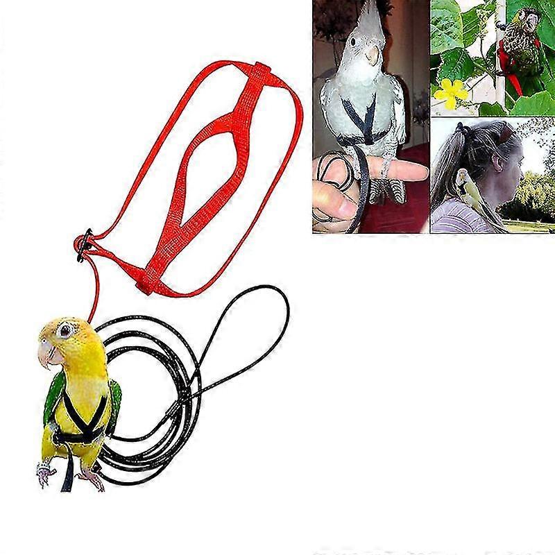 Pet Parrot Bird Harness Leash Adjustable Bird Flying Harness Traction ...